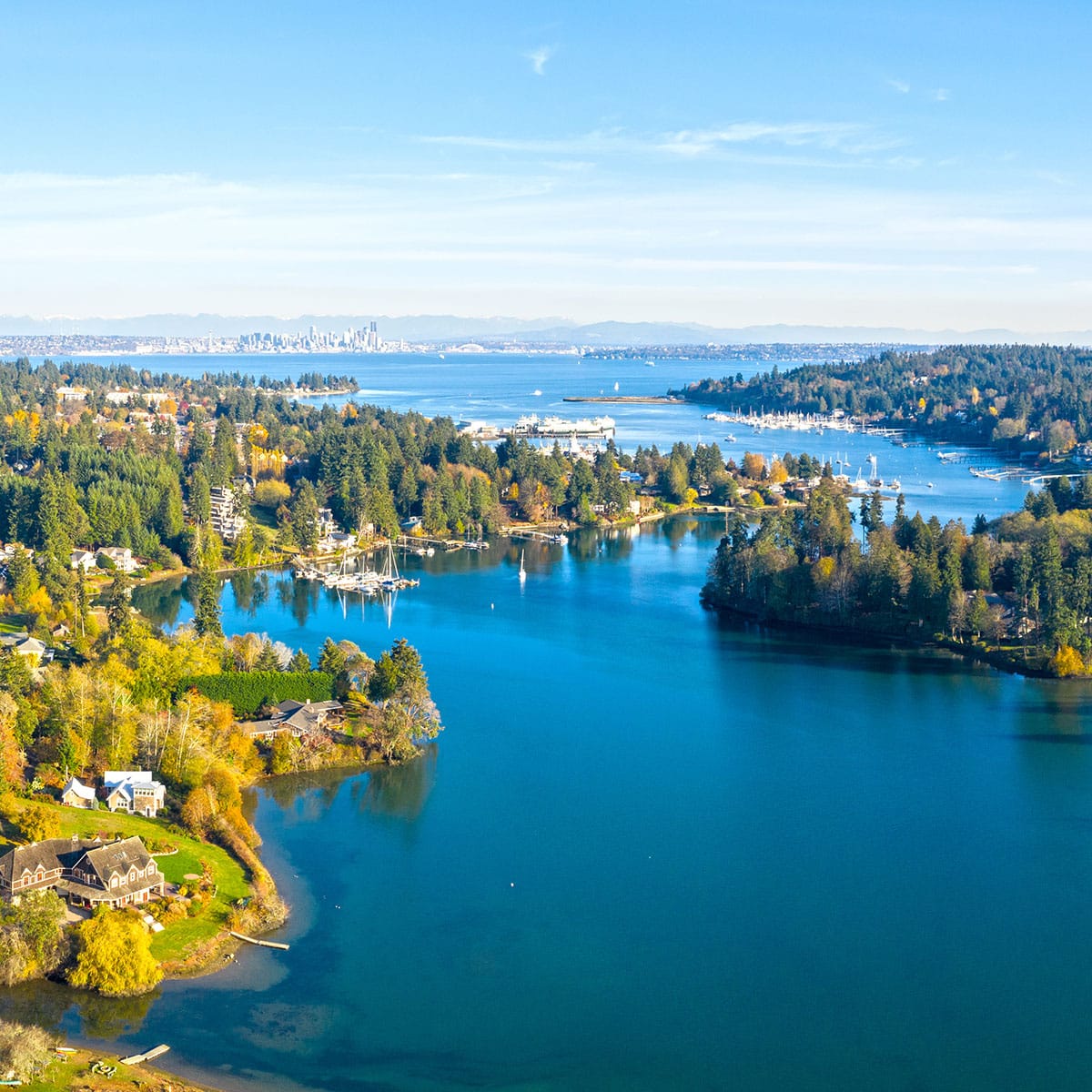 About Seattle Accounting Professionals | Trusted Expertise